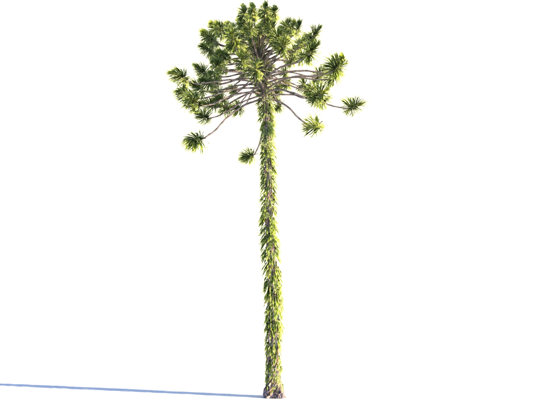 3D model prehistoric plants tree - TurboSquid 1676967