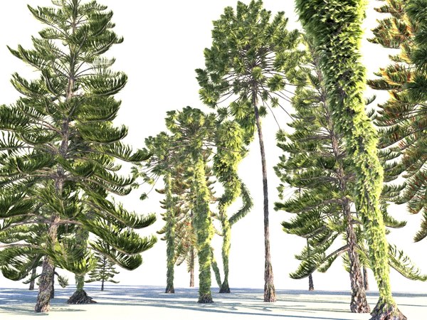 3D model prehistoric plants tree - TurboSquid 1676967