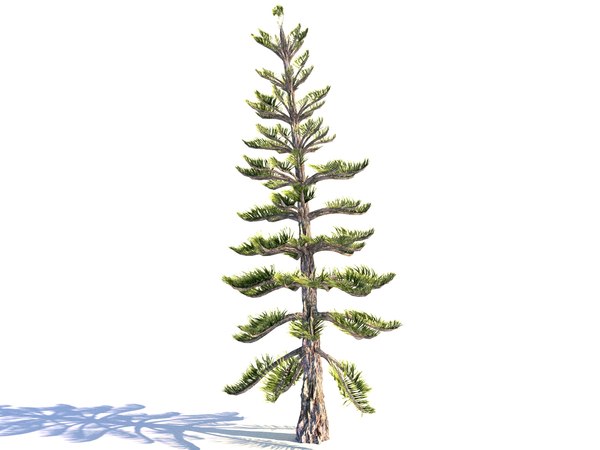 3D model prehistoric plants tree - TurboSquid 1676967