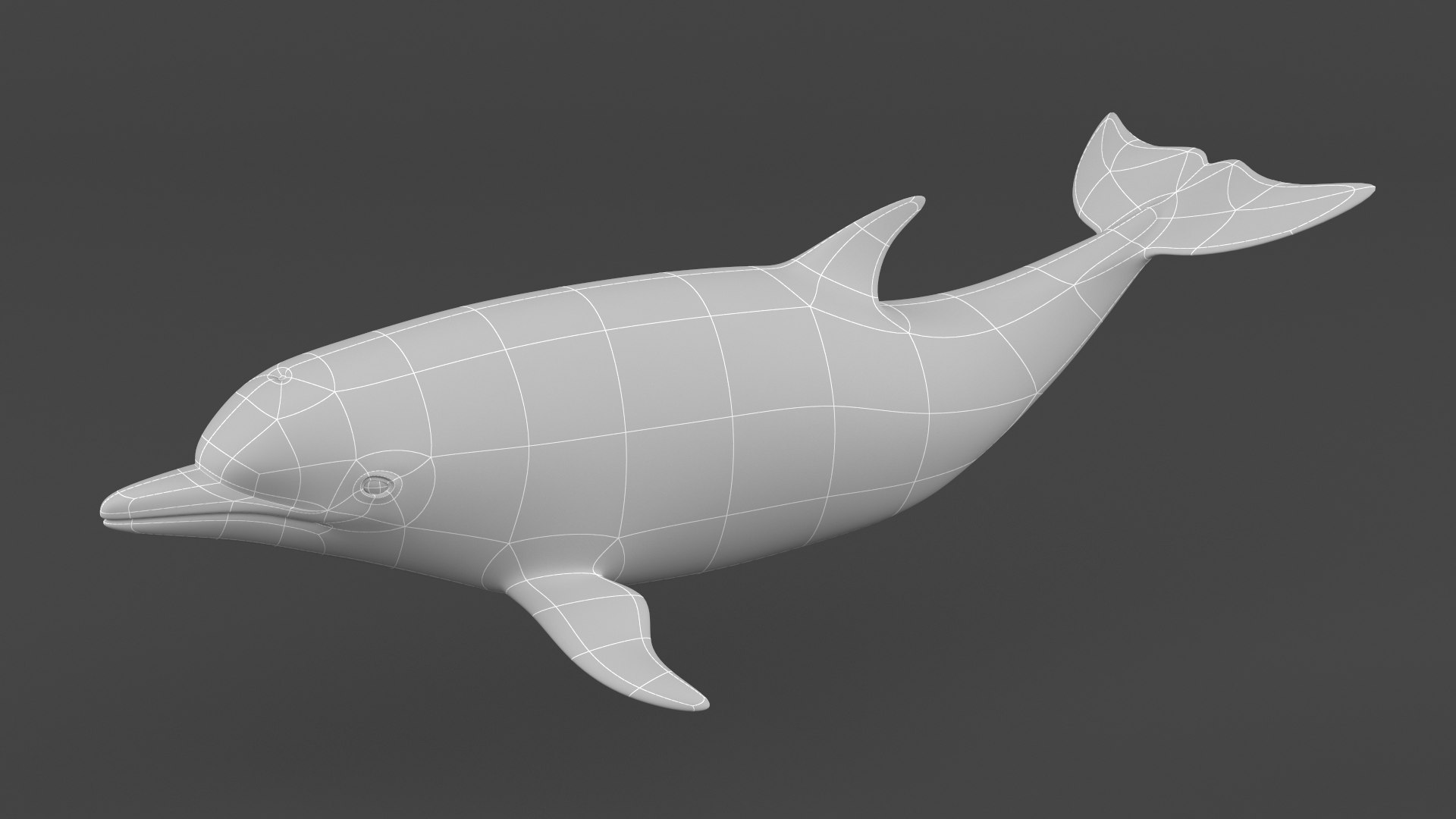 Dolphin 3D Model - TurboSquid 1941710