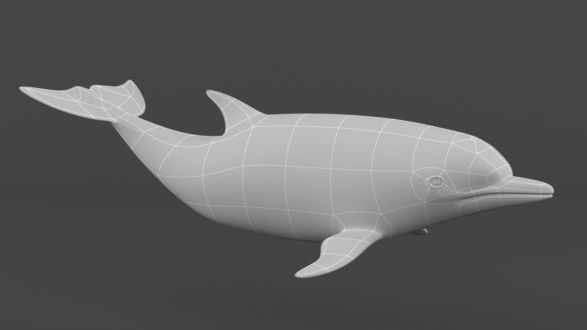 Dolphin 3D Model - TurboSquid 1941710