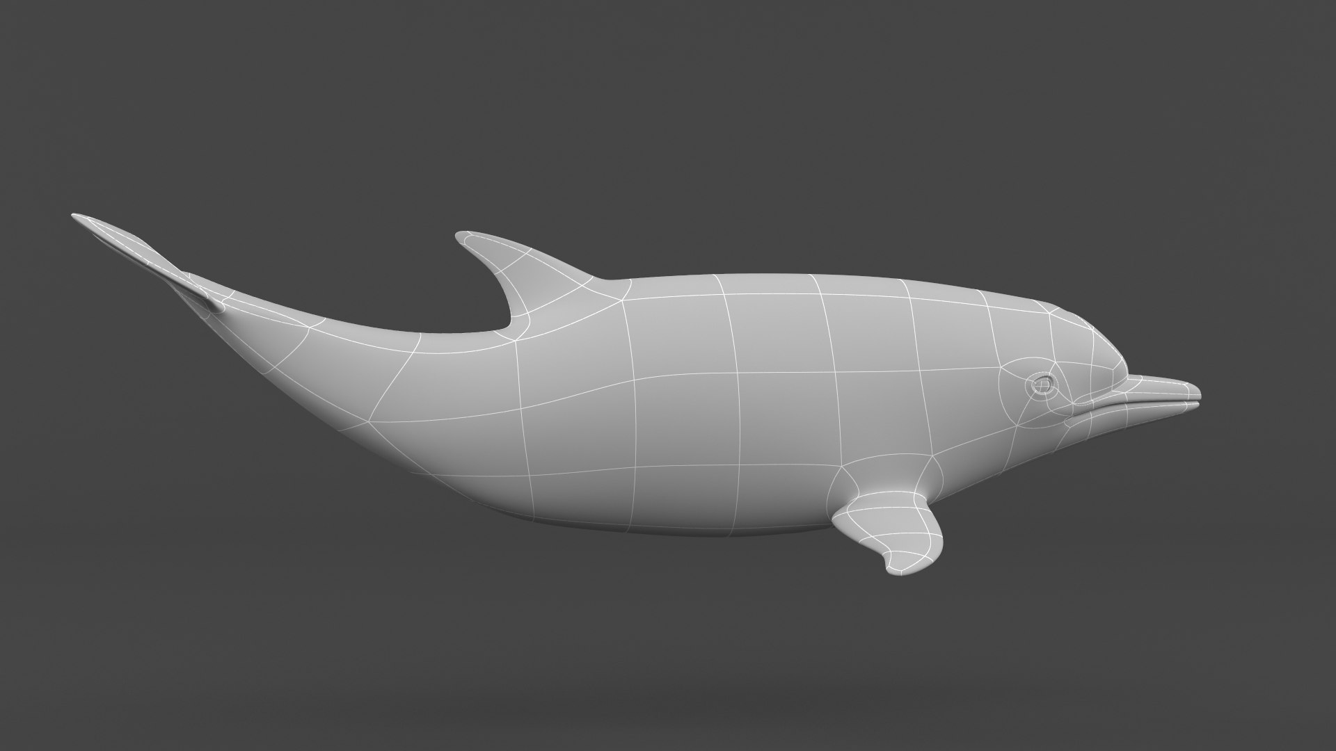 Dolphin 3D Model - TurboSquid 1941710