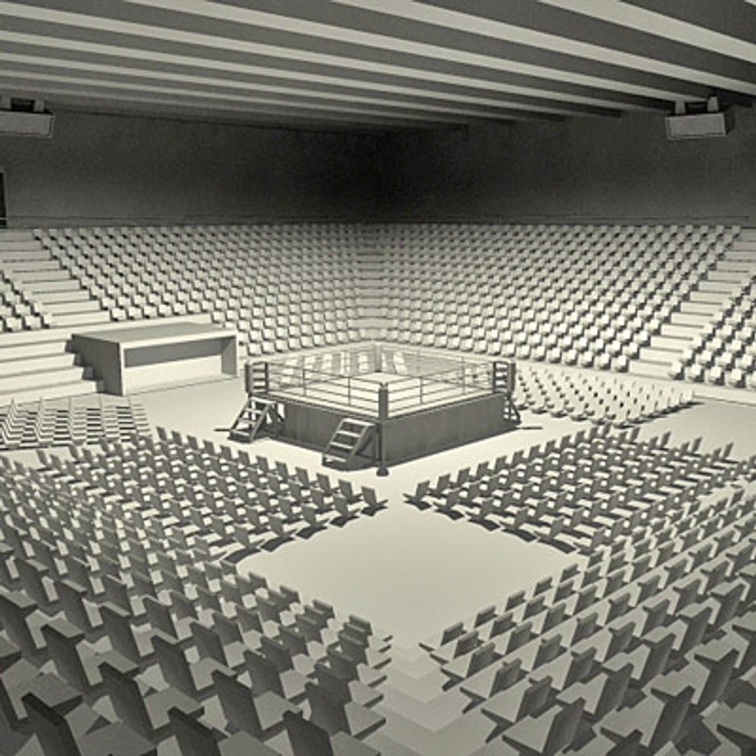 Boxing Arena 3d Model