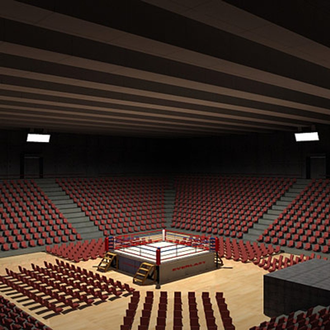 Boxing Arena 3d Model