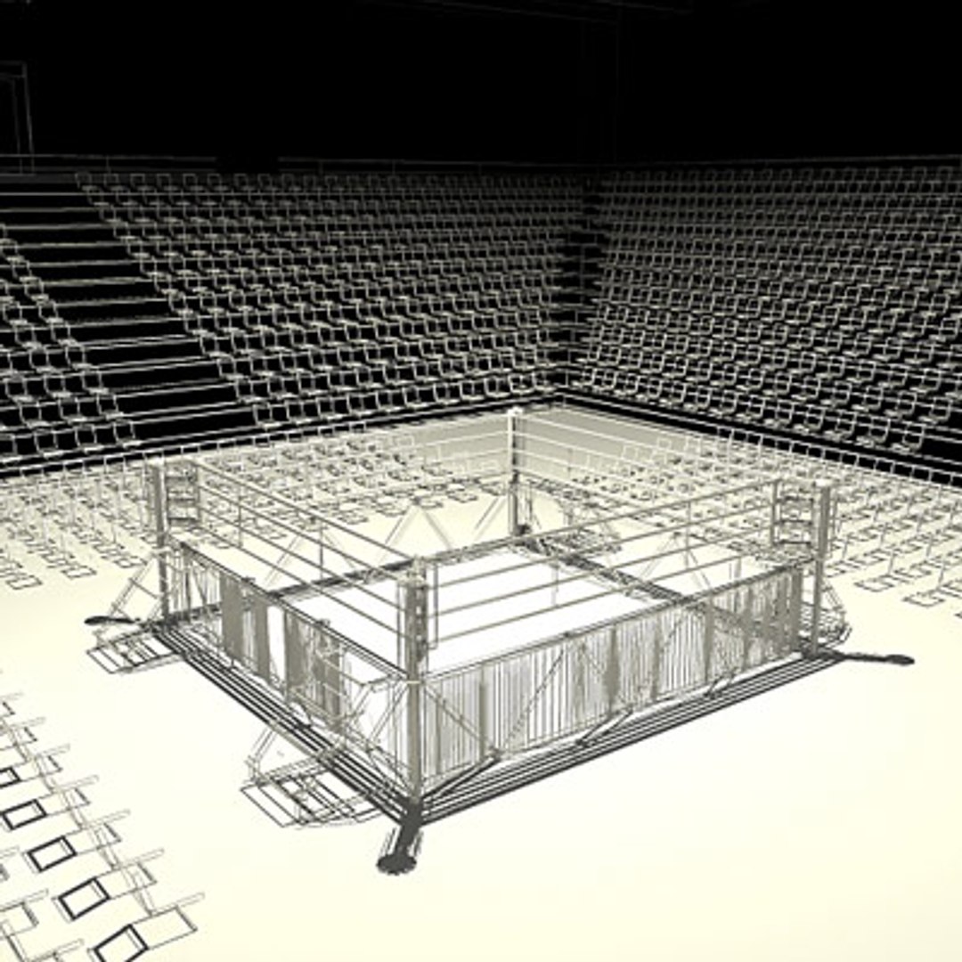 Boxing Arena 3d Model