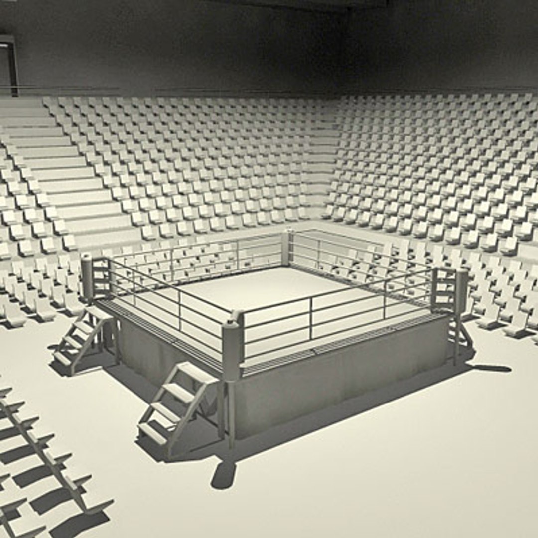 Boxing Arena 3d Model