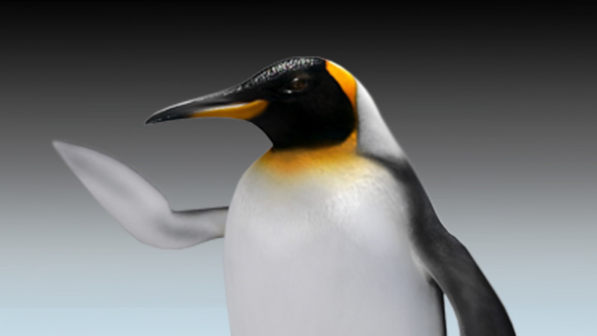 3dsmax Emperor Penguin