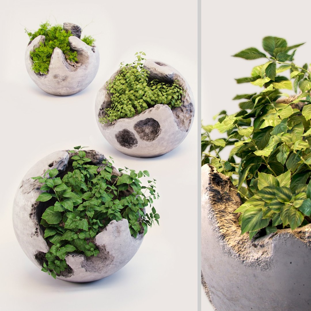 3D Concrete Sphere Plant Model - TurboSquid 1236469