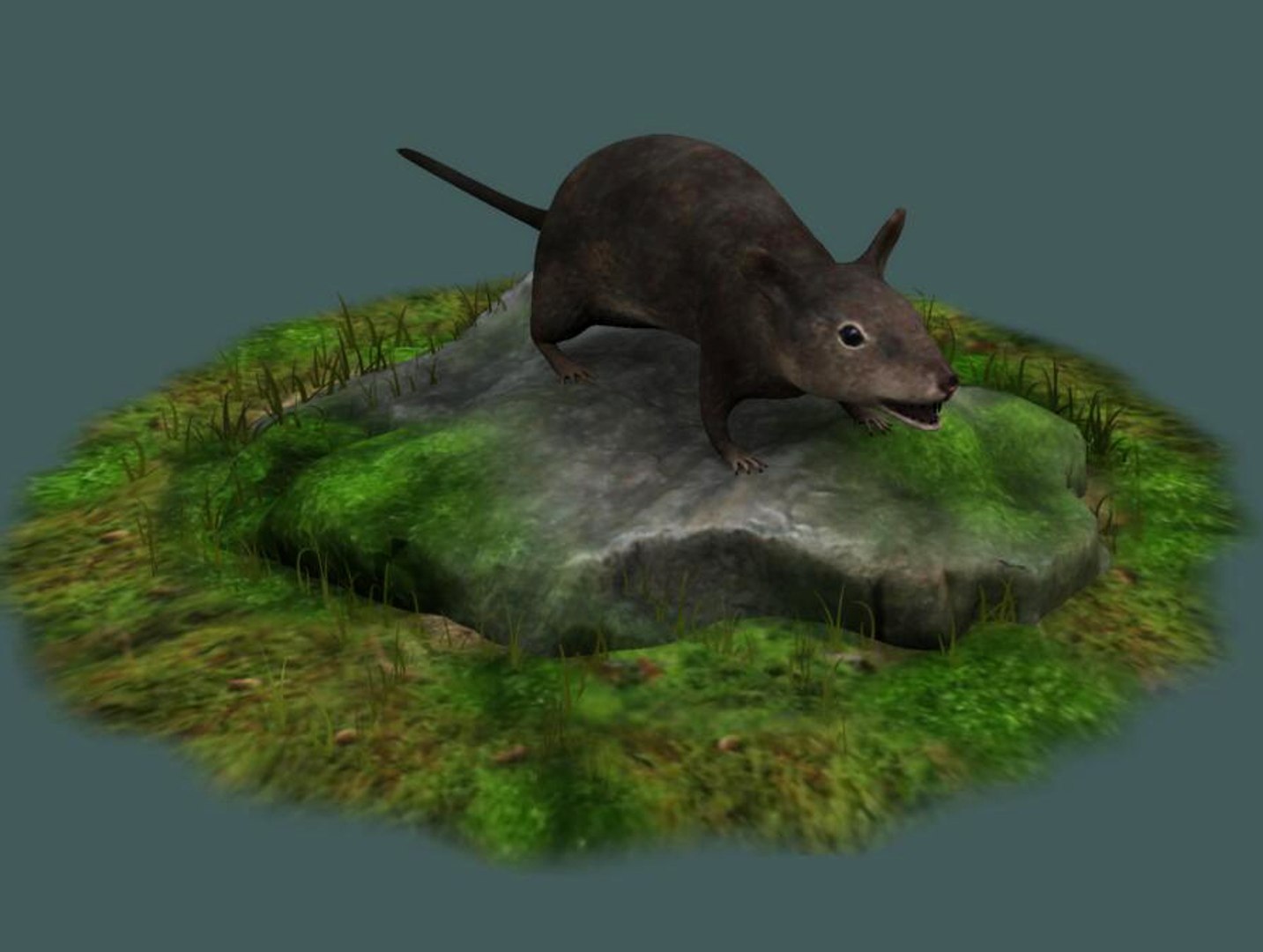 Rats House Grey Voles 3D Model - TurboSquid 1575903