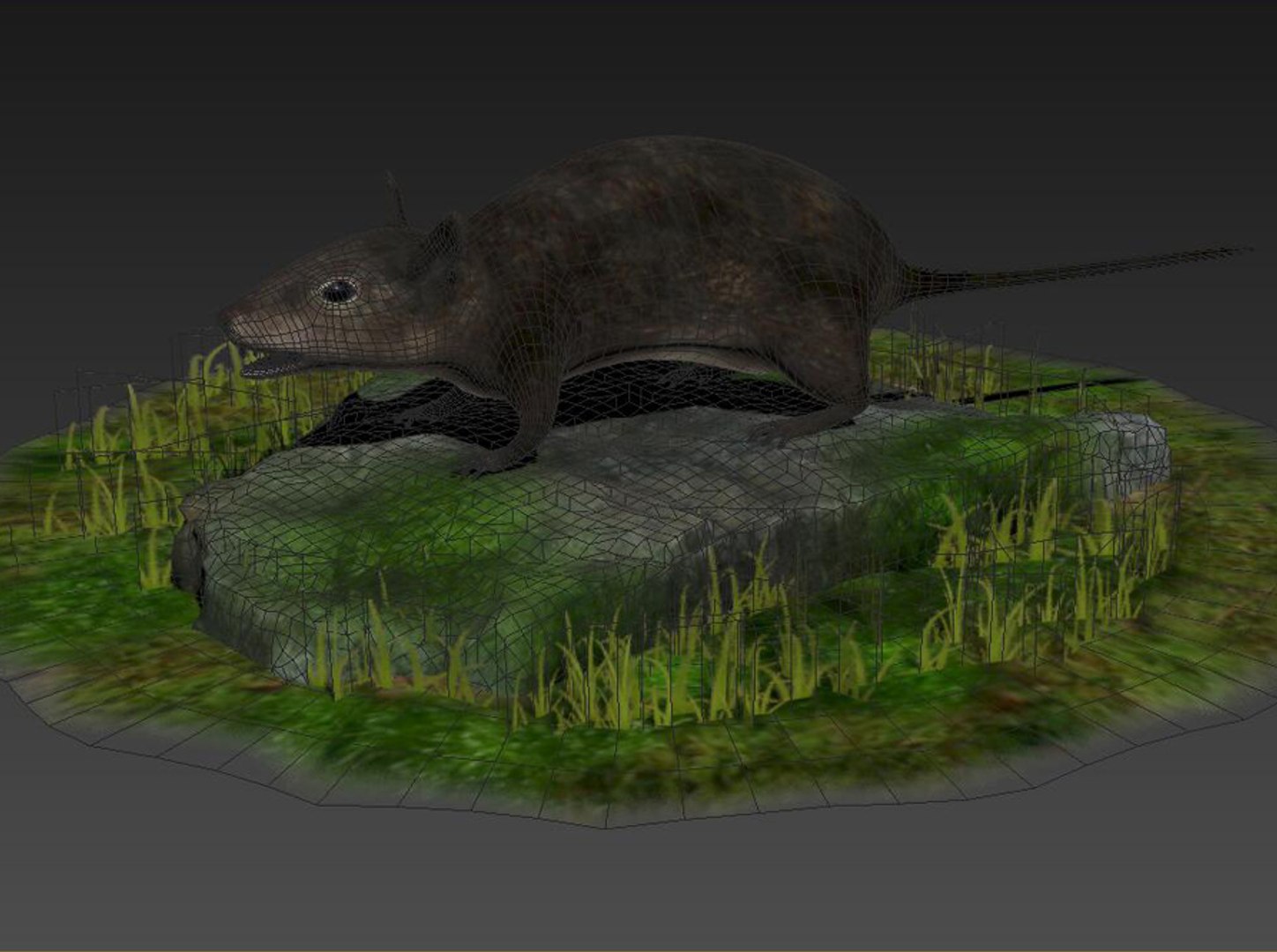 Rats House Grey Voles 3D Model - TurboSquid 1575903