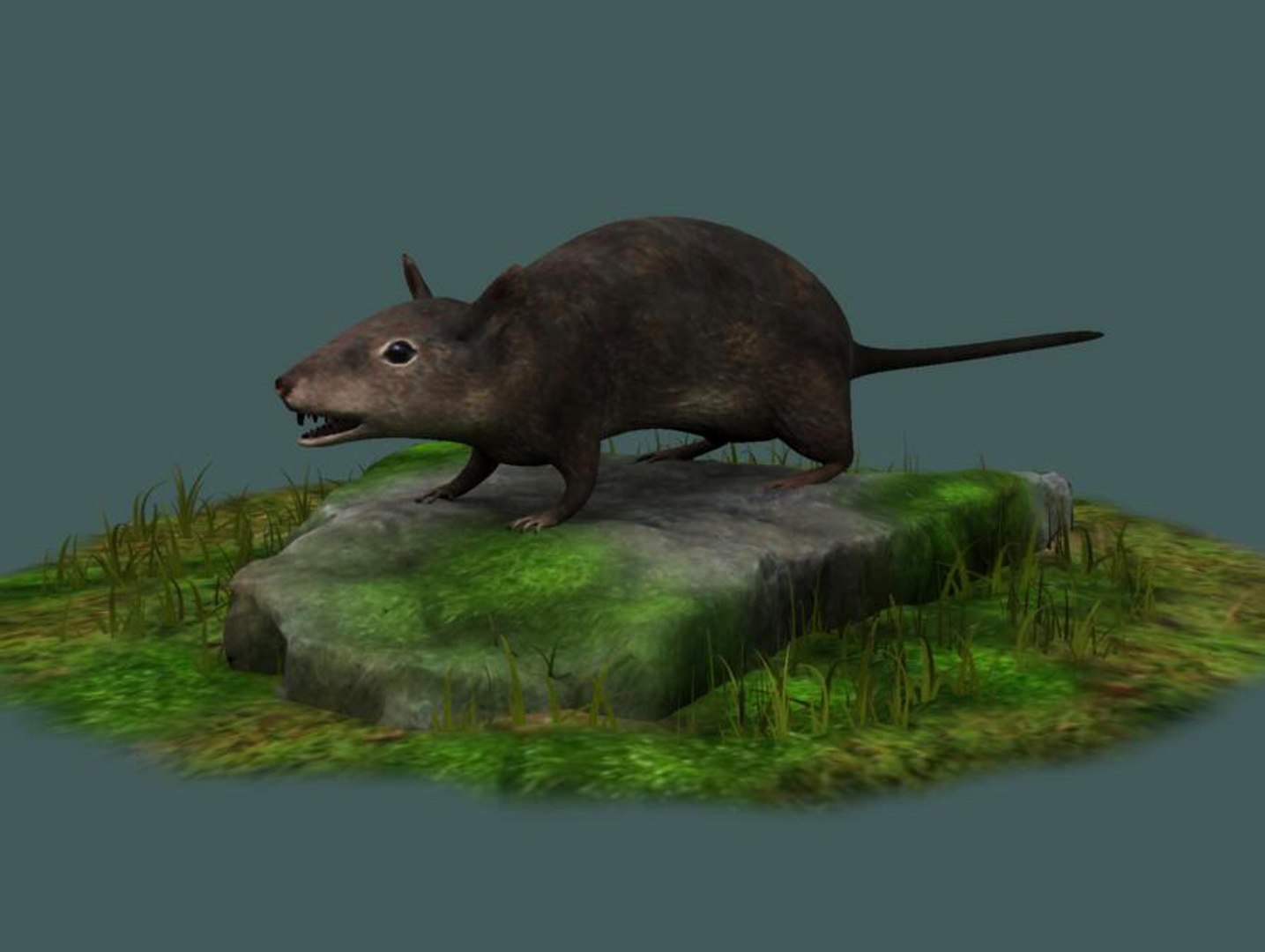 Rats House Grey Voles 3D Model - TurboSquid 1575903
