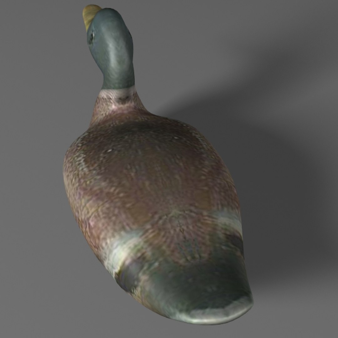 Duck Decoy 3d Max