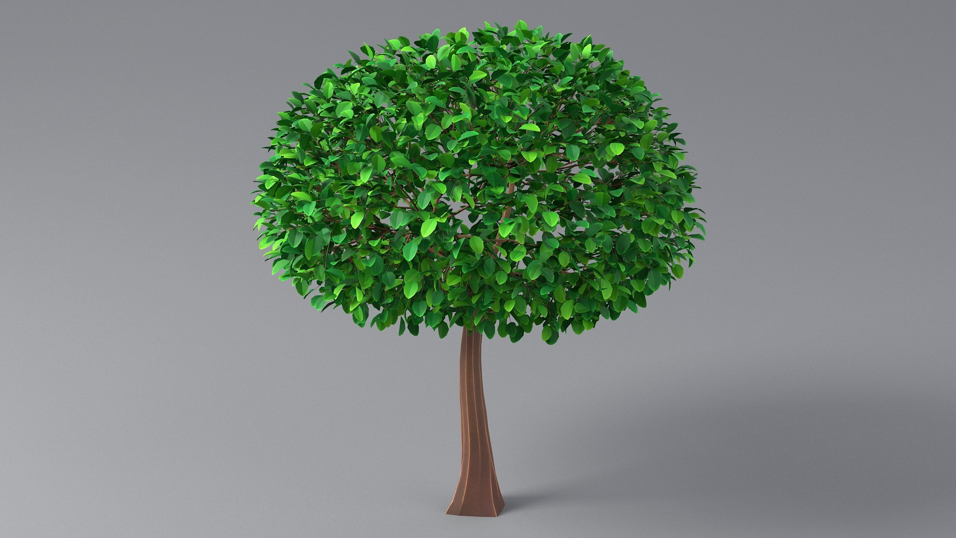 Cartoon Tree Small 02 3D Model - TurboSquid 1936811