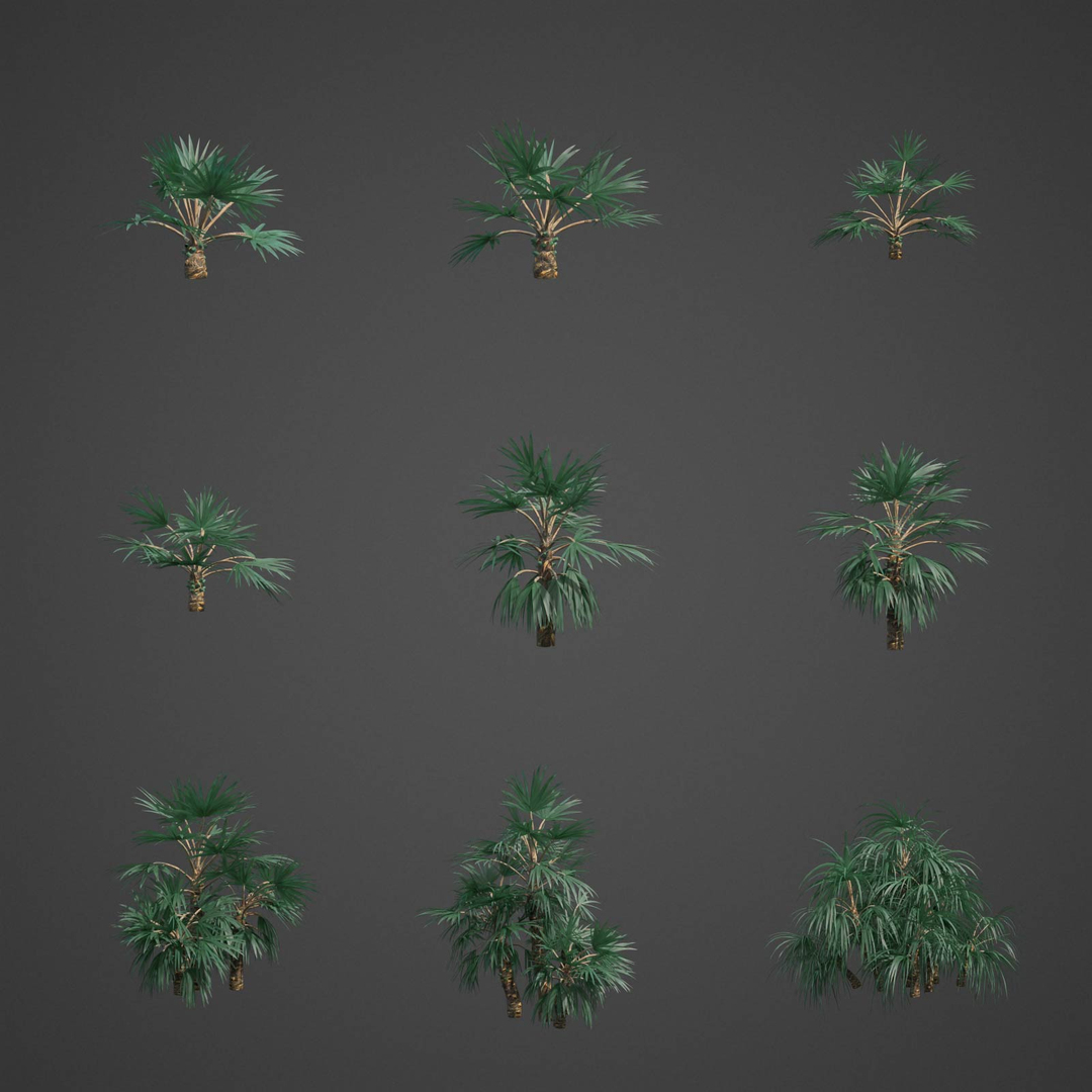 3D Palm Tree Nature Model - TurboSquid 1679675