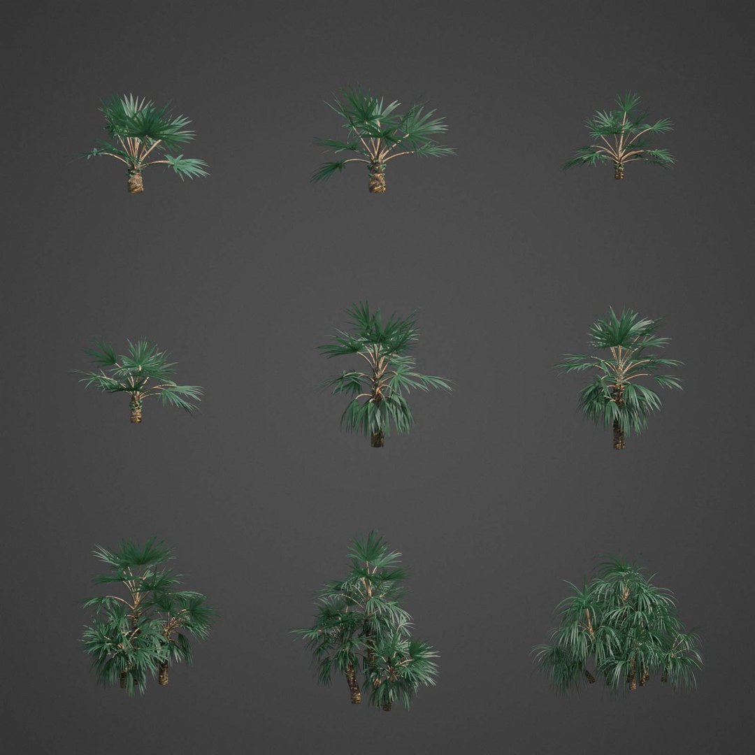 3D Palm Tree Nature Model - TurboSquid 1679675