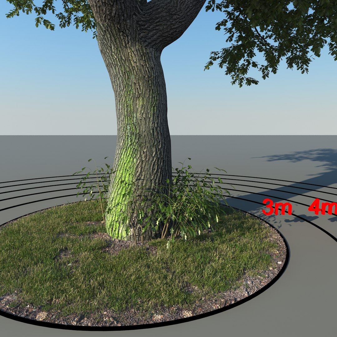 3d Model Oak Tree
