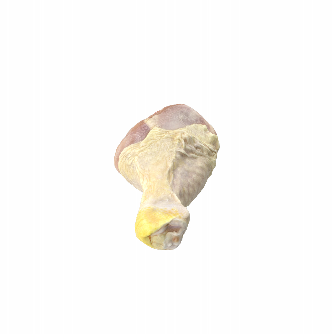 Chicken Leg Model - TurboSquid 2395885