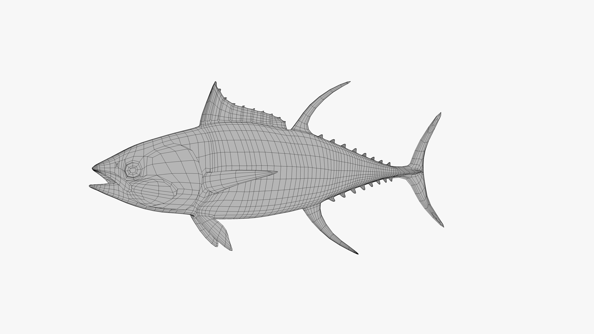 3d Realistic Yellowfin Tuna Model