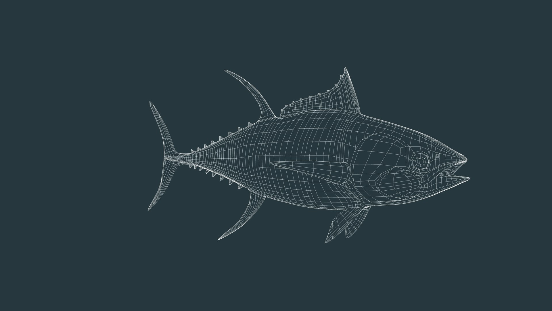 3d Realistic Yellowfin Tuna Model