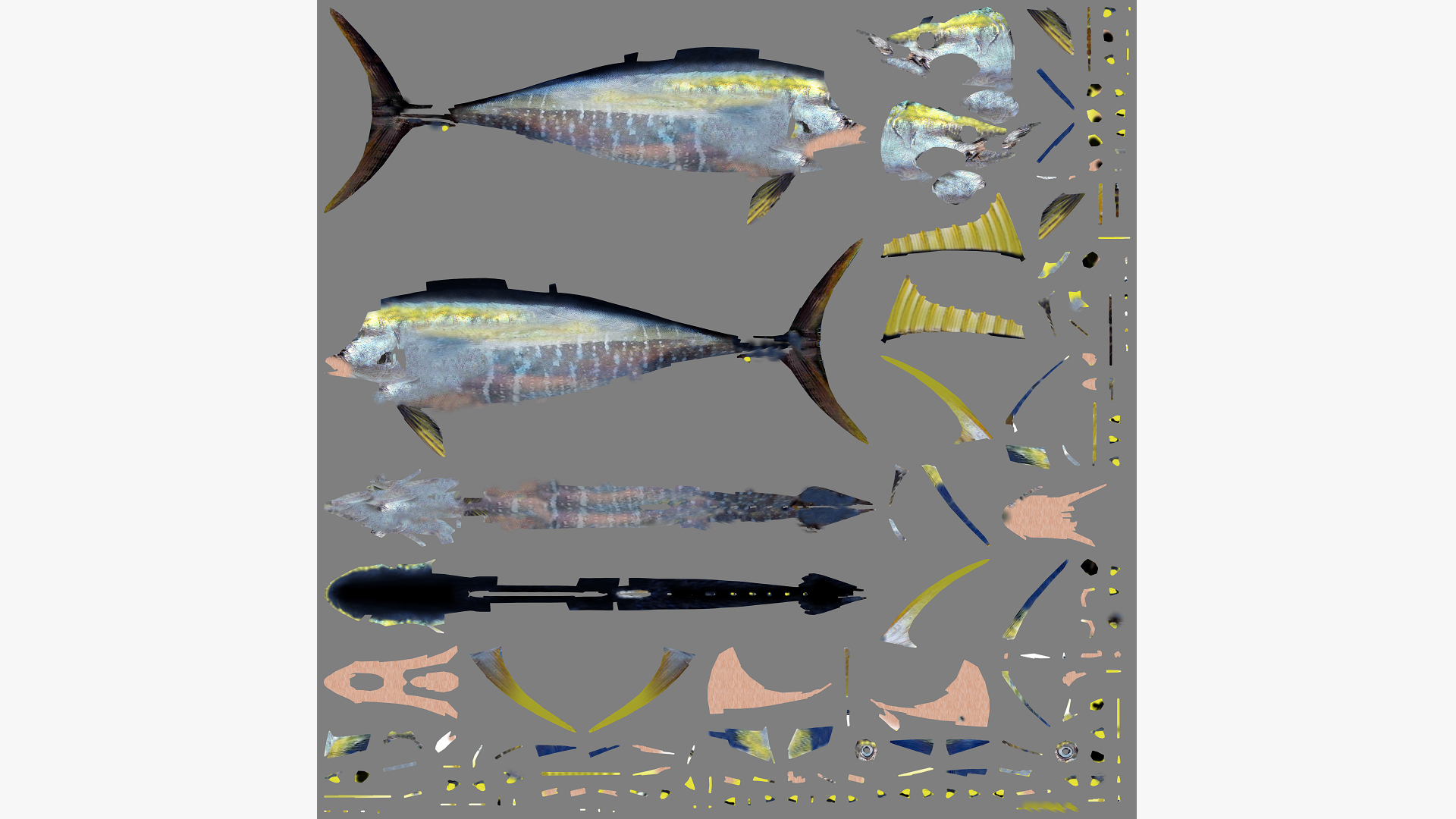 3d realistic yellowfin tuna model
