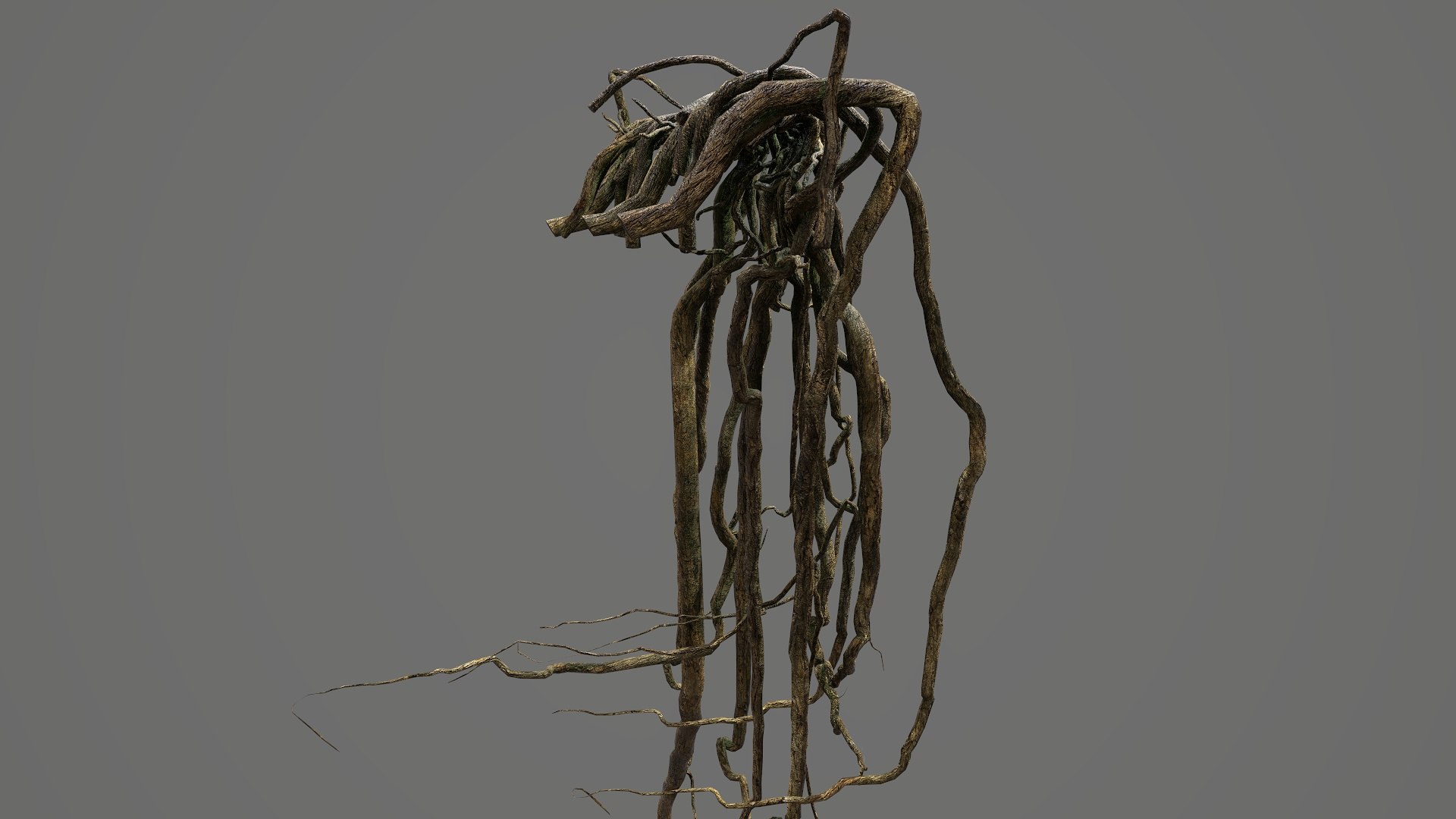 3D Tree Roots V5 PBR - TurboSquid 2360253