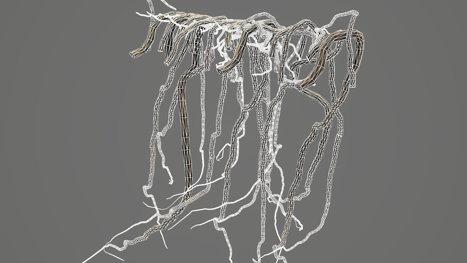 3D Tree Roots V5 PBR - TurboSquid 2360253