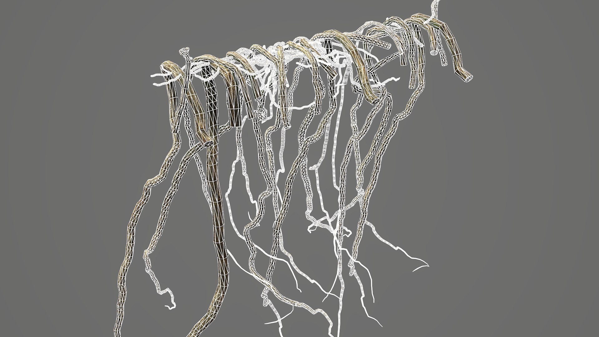 3D Tree Roots V5 PBR - TurboSquid 2360253