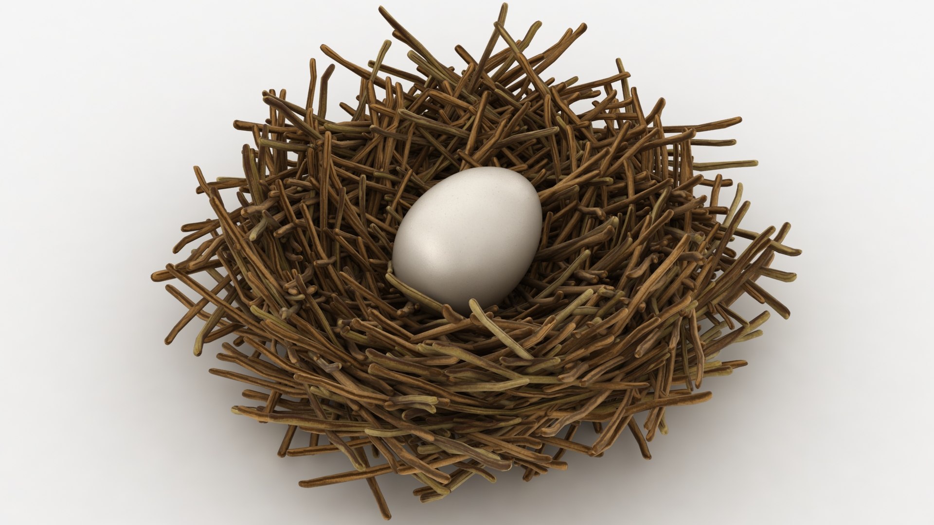 Realistic Bird Nest 01 3D Model - TurboSquid 1561160