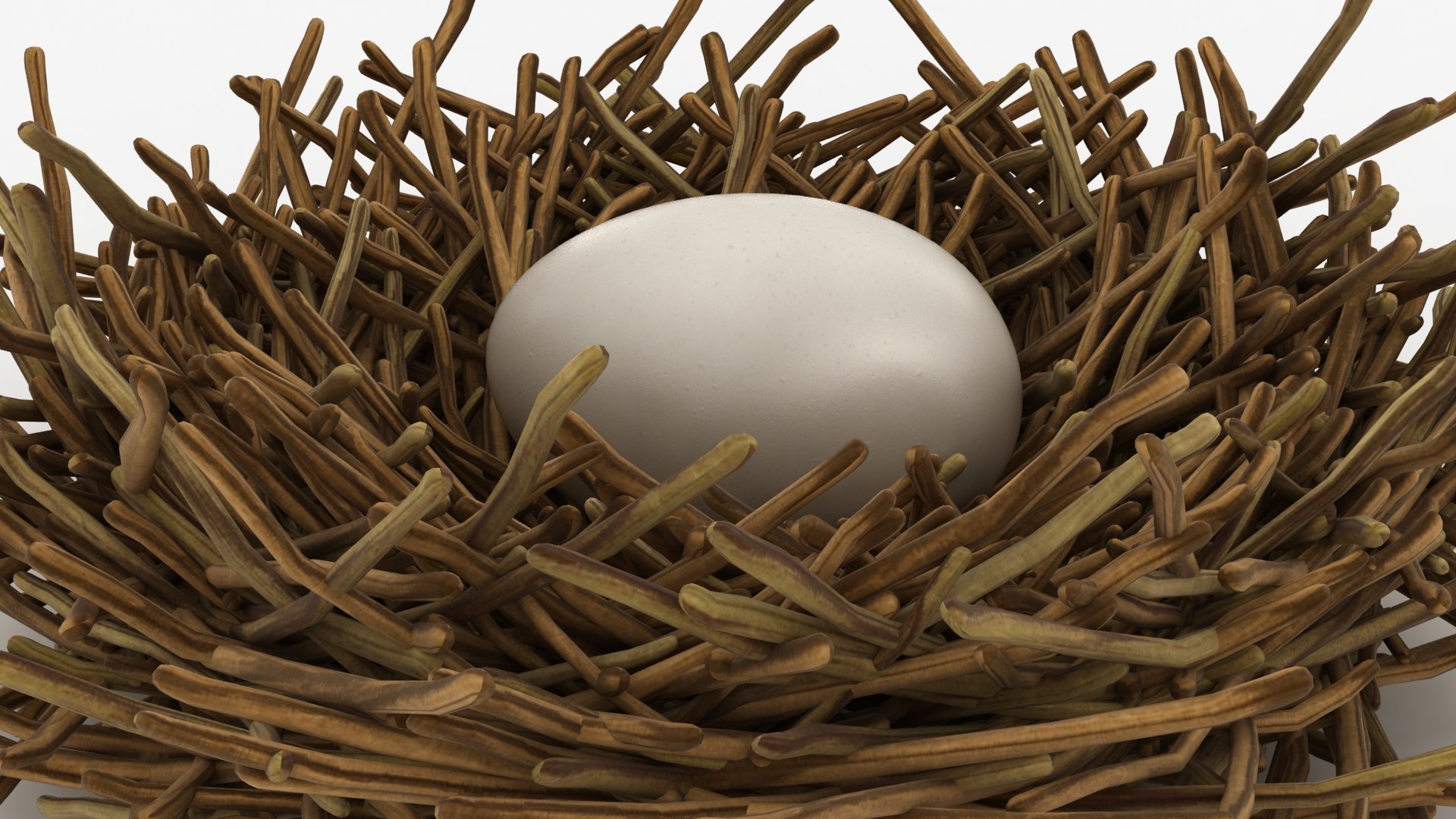 Realistic Bird Nest 01 3D Model - TurboSquid 1561160