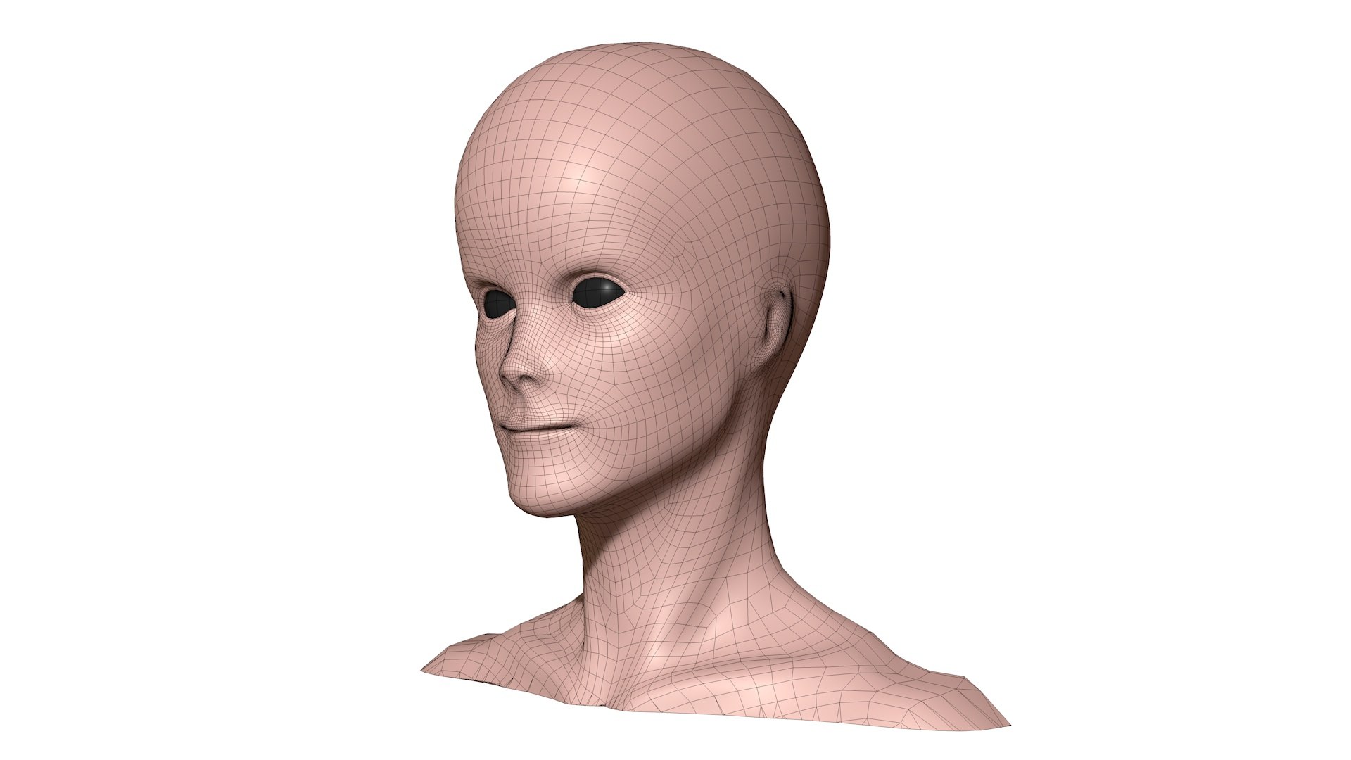 Face Character Head Model - TurboSquid 1699866