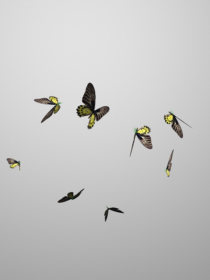 3ds max swarm butterflies