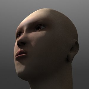 Anatomy 3D Models for Download | TurboSquid