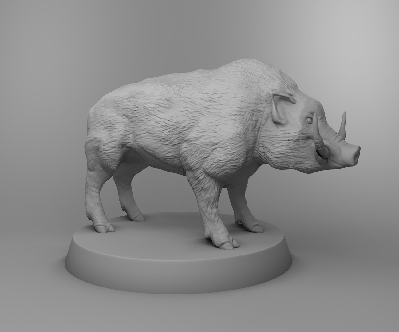3D Animals Nature Boar Model - TurboSquid 1681382