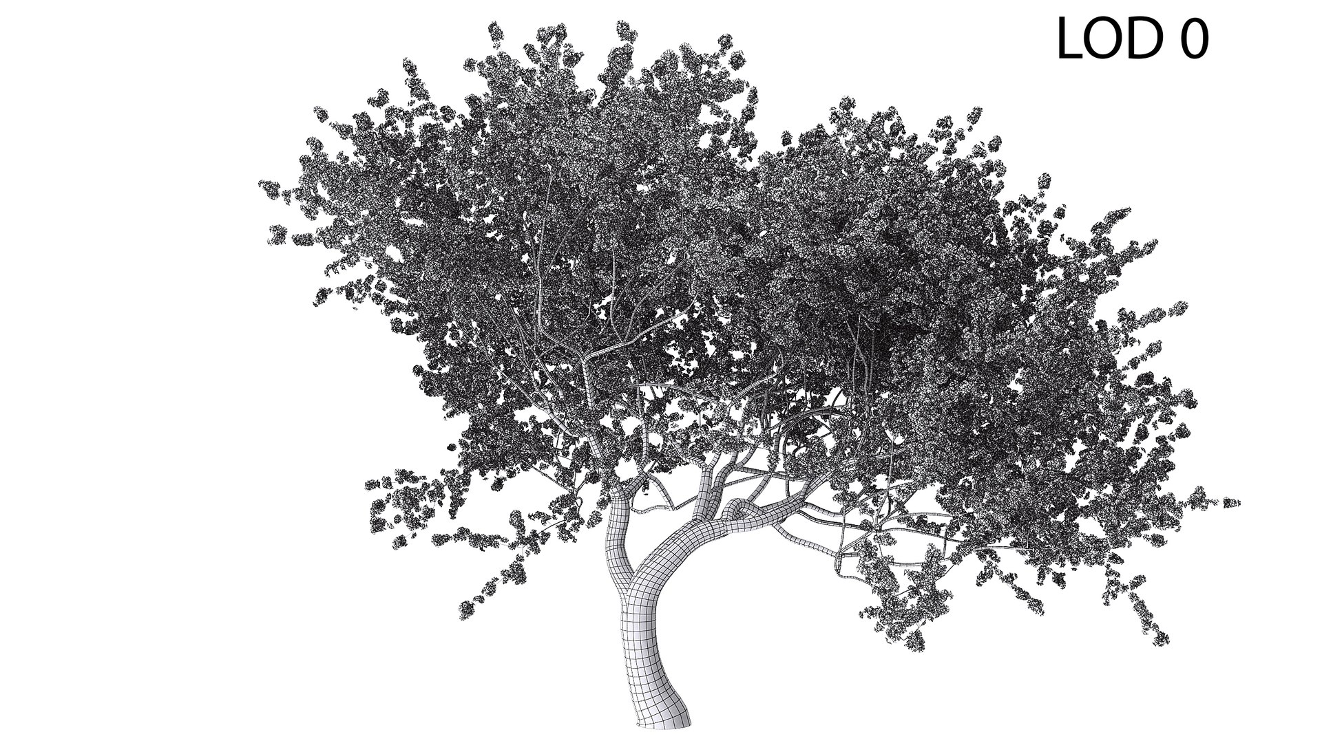 3D Sakura High Poly 01 Model - TurboSquid 2434705