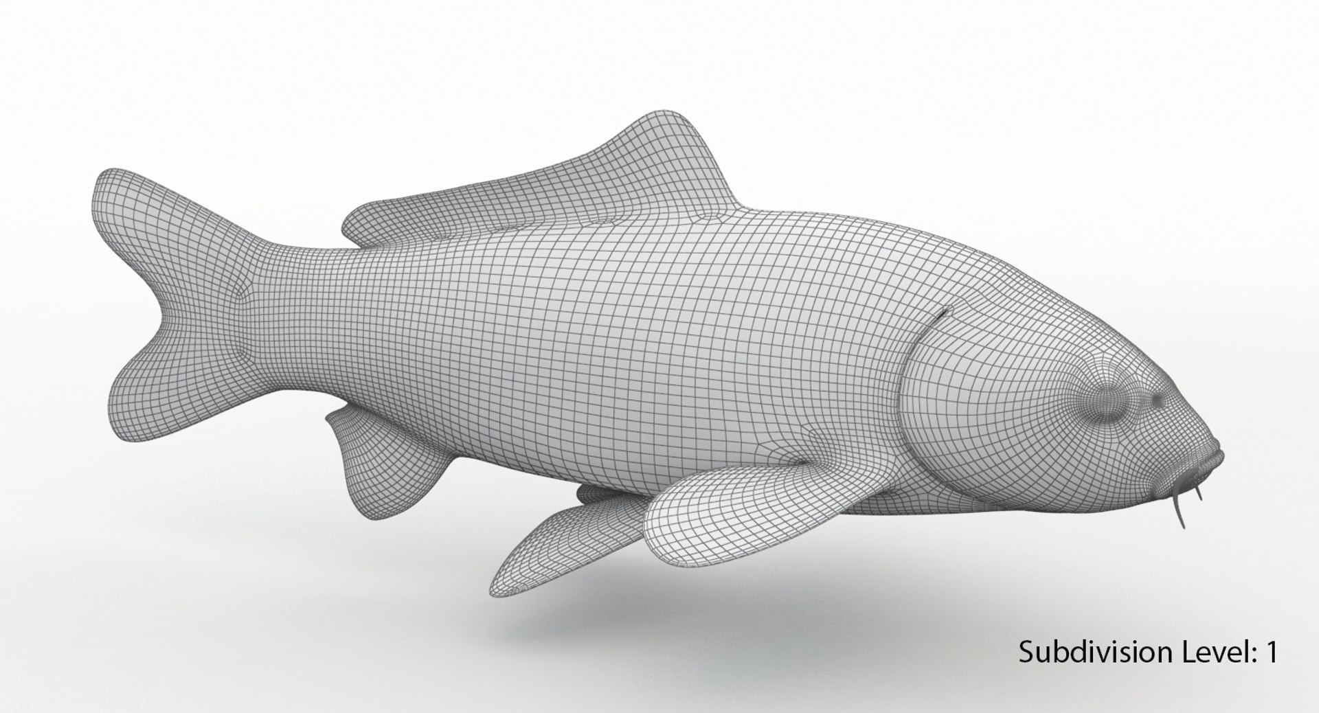 Koi fish 3 animation 3D model - TurboSquid 1425199