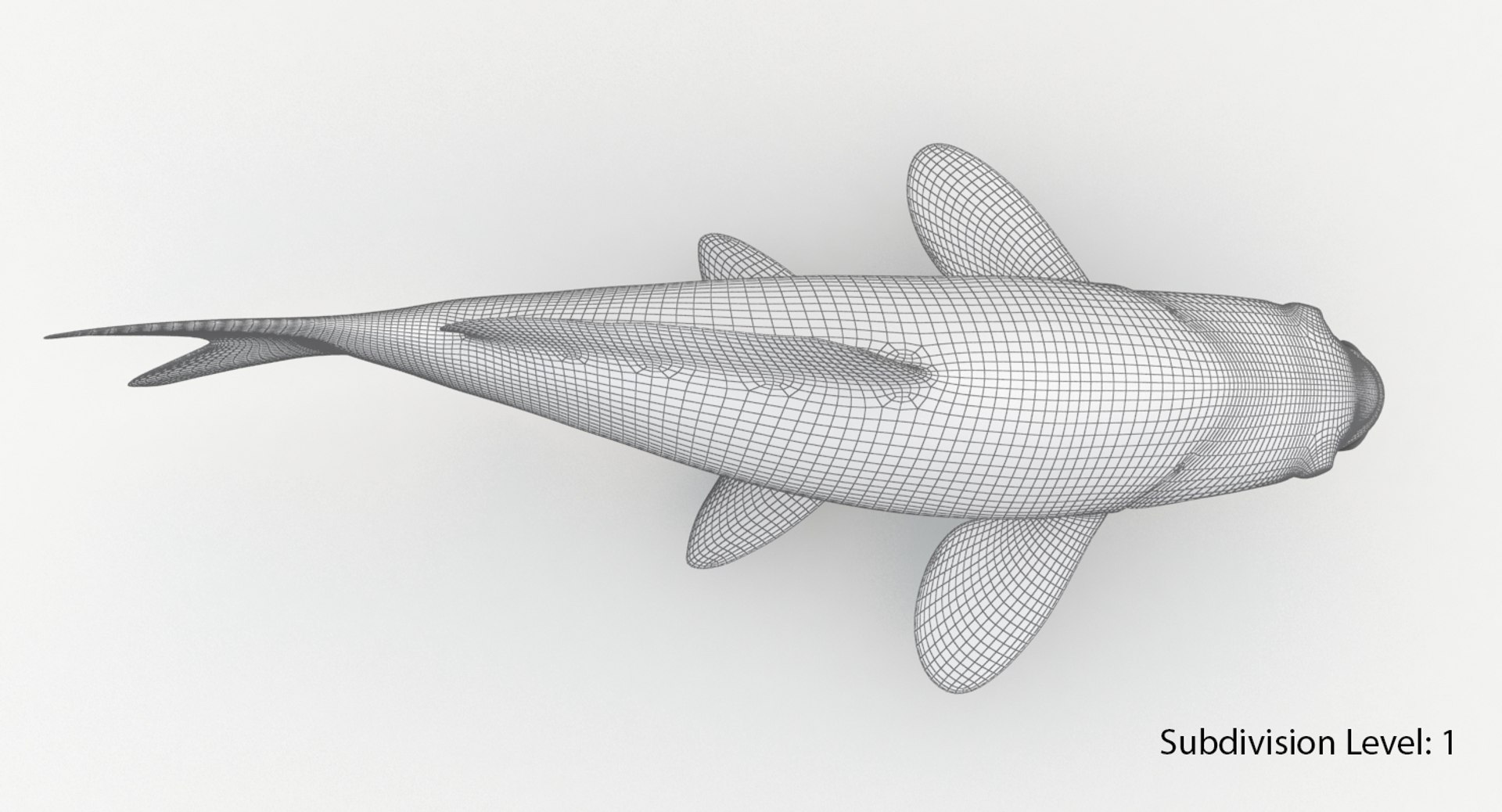 Koi Fish 3 Animation 3D Model - TurboSquid 1425199