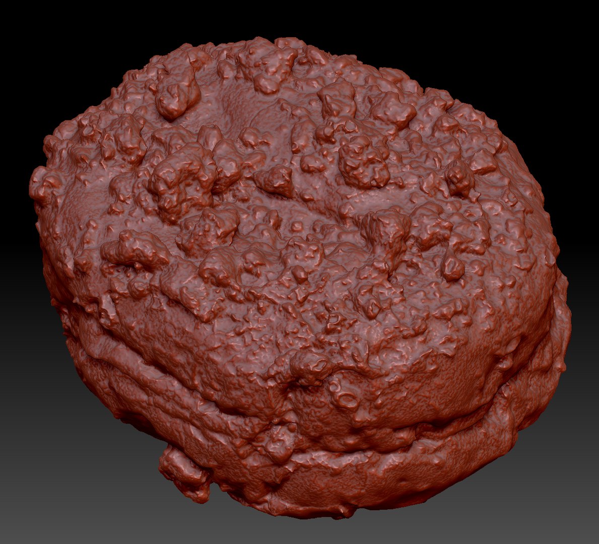 3D Crumble Doughseed Doughnut Plant Model - TurboSquid 1401420