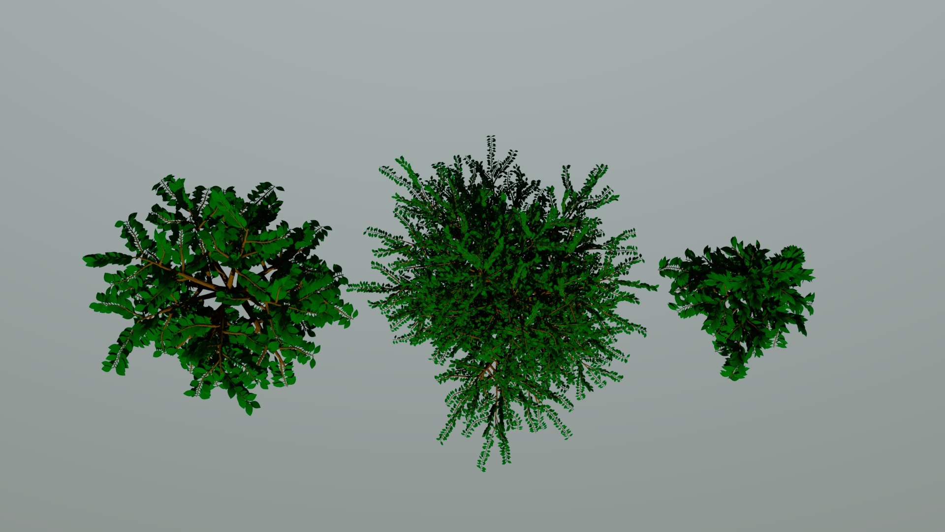 3D model Tree asset pack - TurboSquid 2066930