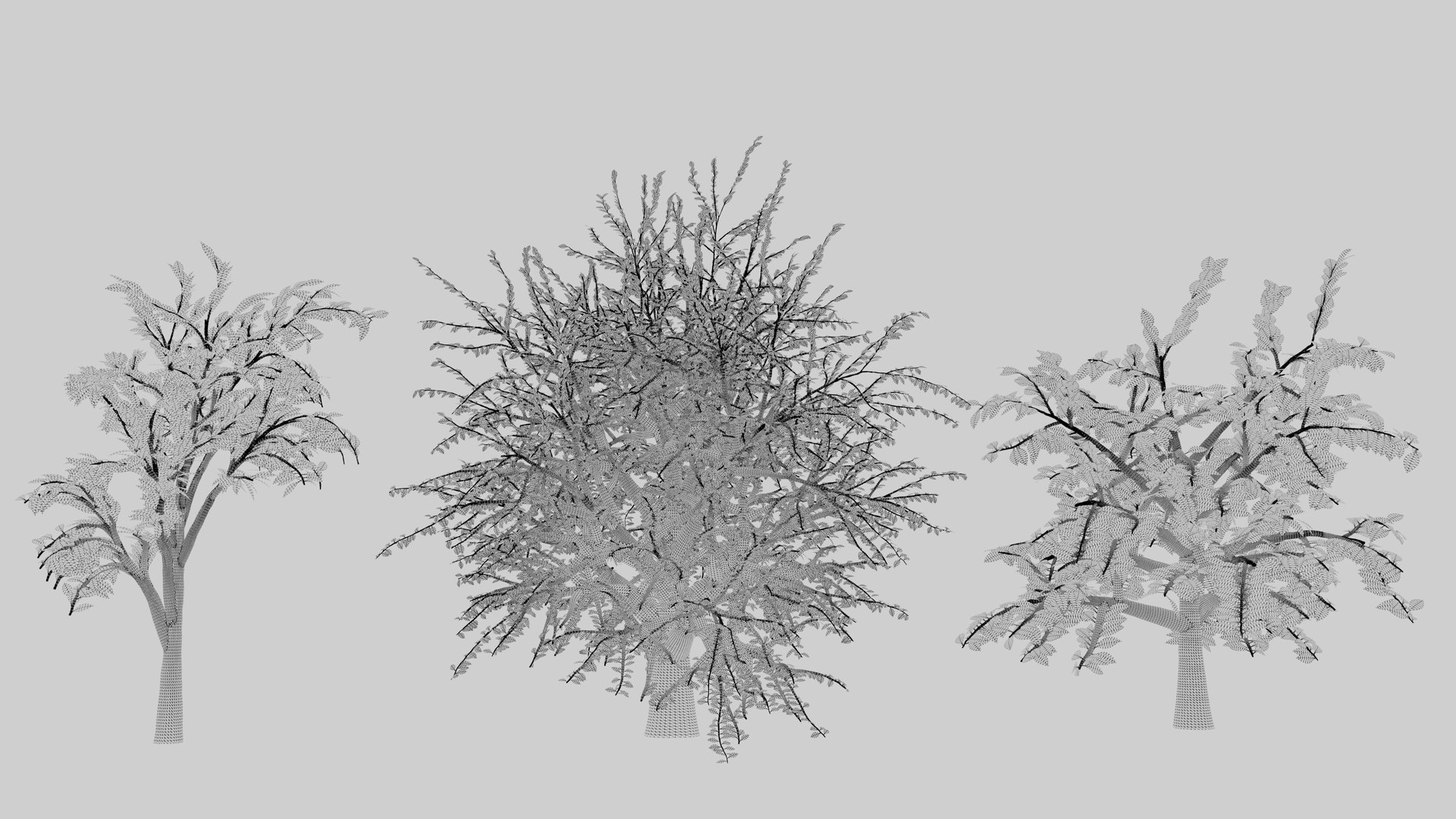 3d Model Tree Asset Pack Turbosquid 2066930