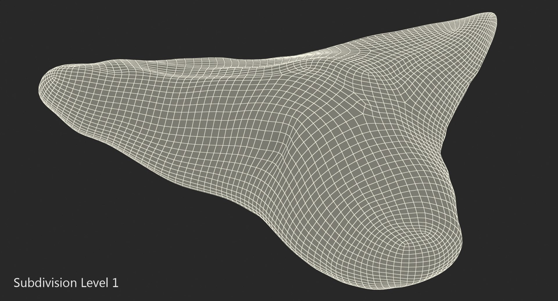3D Fossil Shark Teeth Model - TurboSquid 1416211
