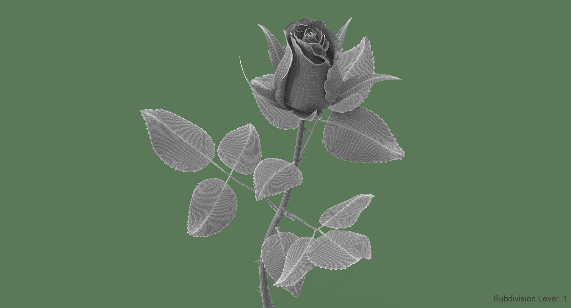 rose modeled 3d max