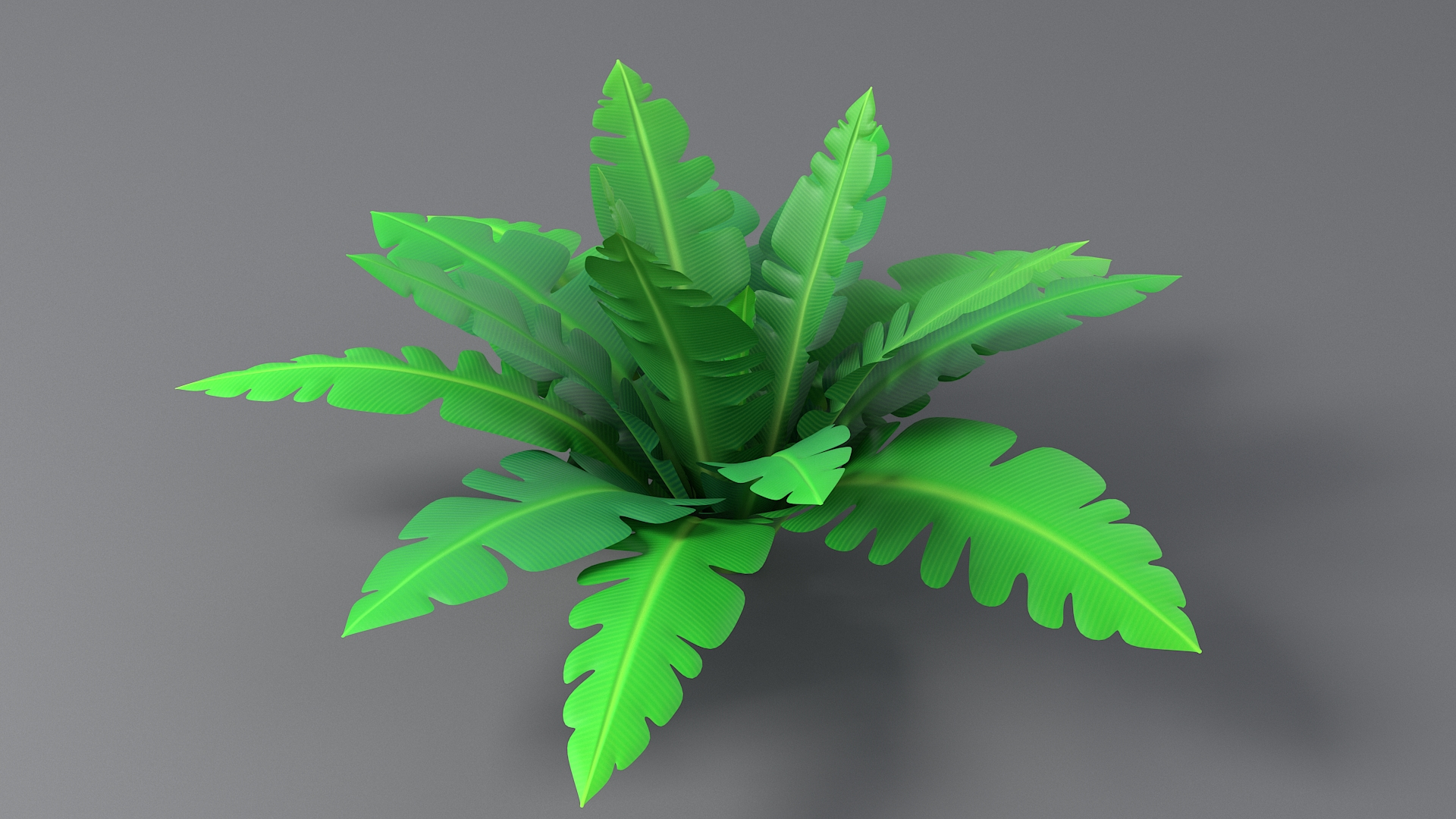 3D Cartoon Tropical Plant Pack - TurboSquid 1904617