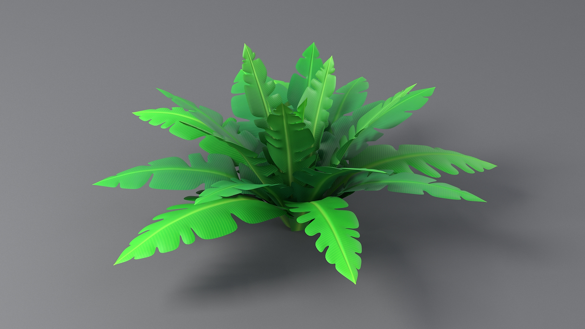 3D Cartoon Tropical Plant Pack - TurboSquid 1904617