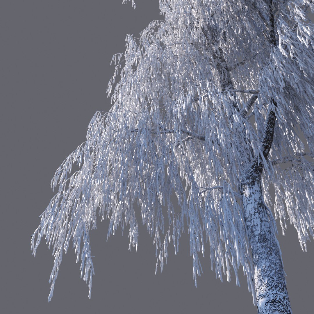 Frozen Birch Model - TurboSquid 1248047