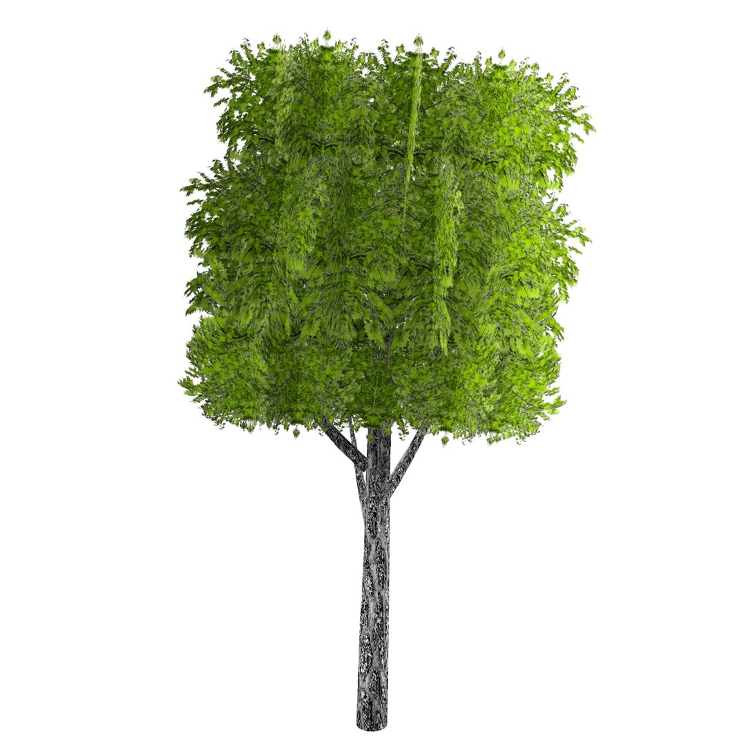 3d model pc tree
