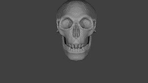 Skull Blender Models for Download | TurboSquid