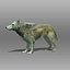 3ds Max Timber Wolf Animations