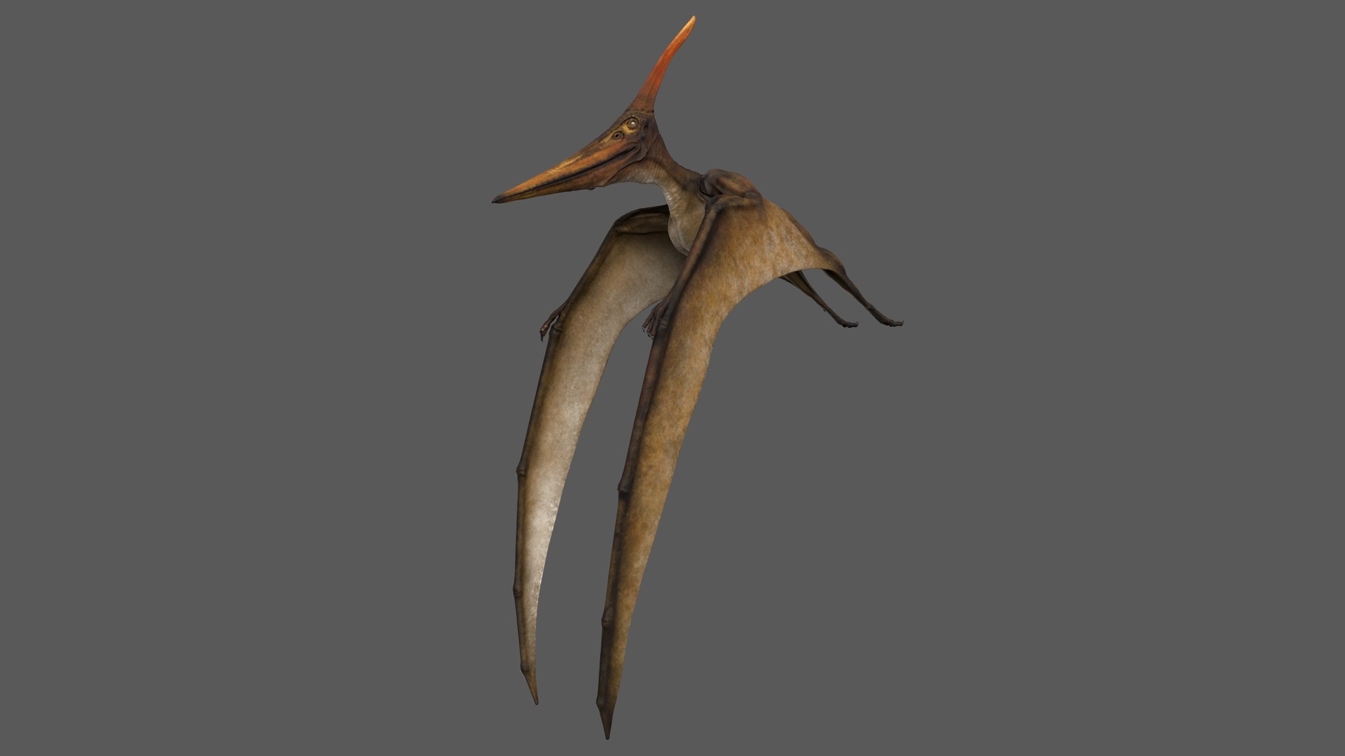 3D Rigged Pteranodon Longiceps - TurboSquid 1519330