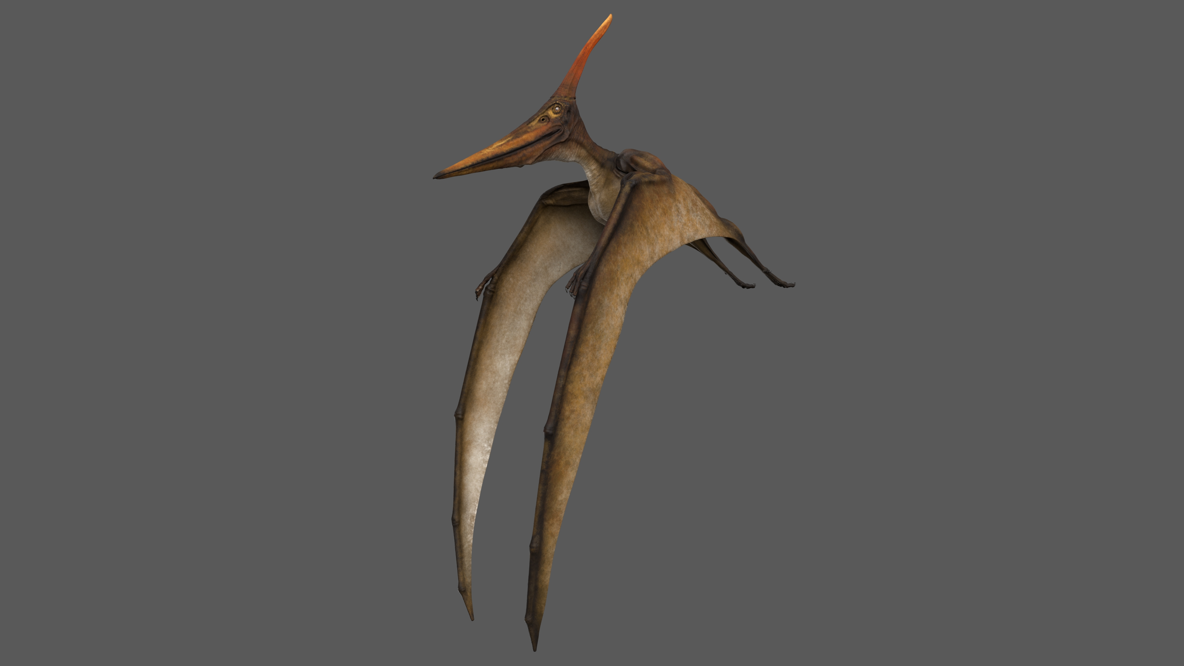 3D rigged pteranodon longiceps - TurboSquid 1519330