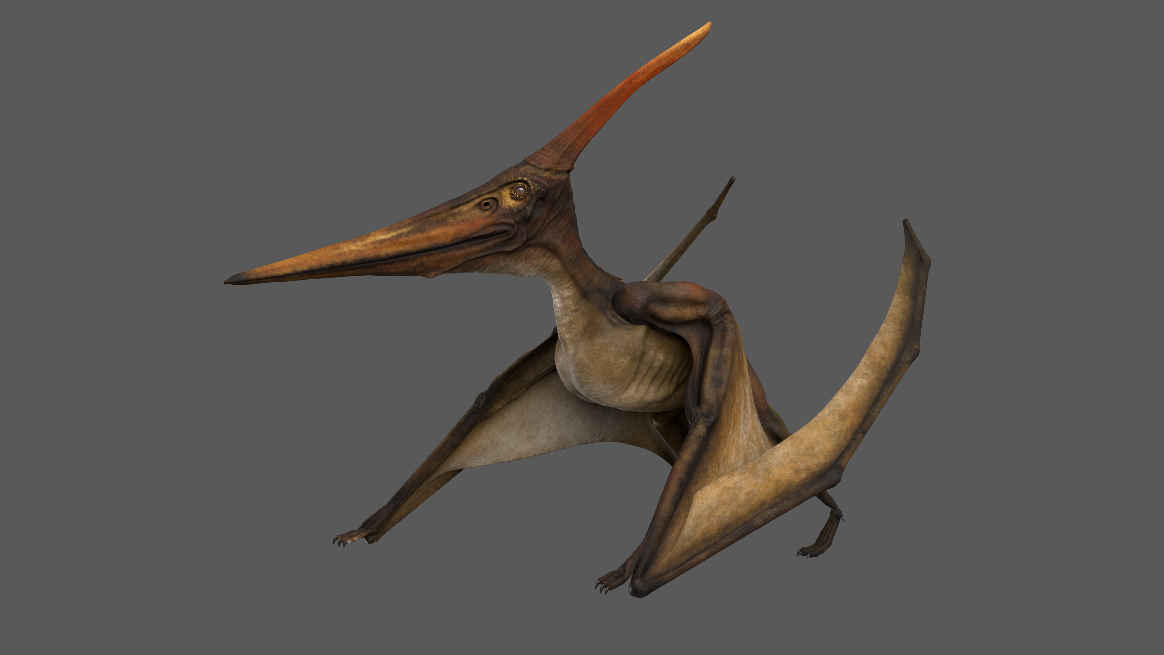 3D rigged pteranodon longiceps - TurboSquid 1519330